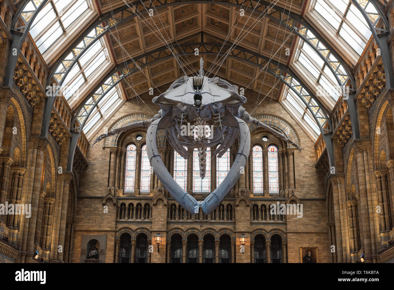 A natural history museum is a scientific institution with natural ...
