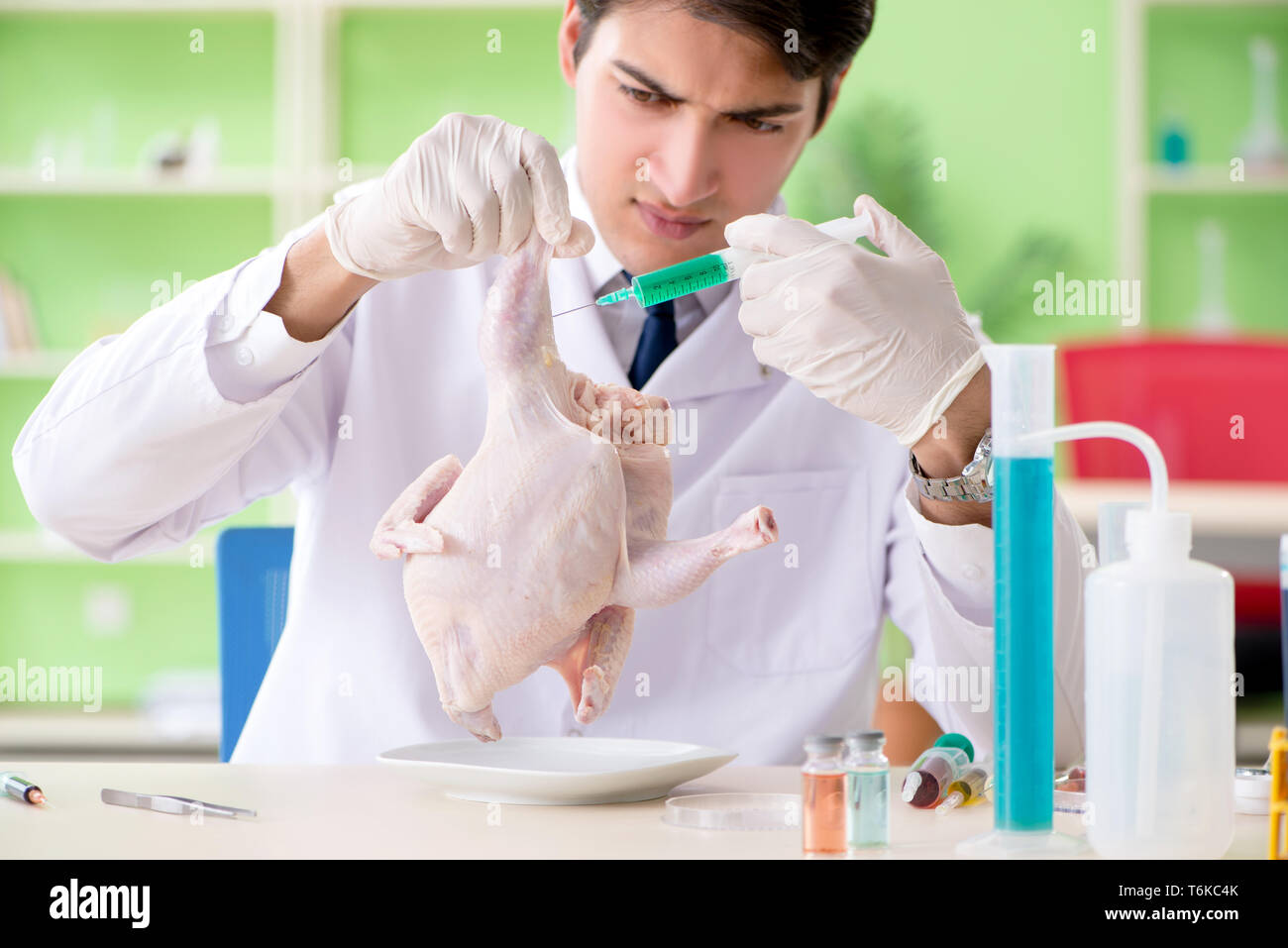 Lab assistant testing GMO chicken Stock Photo - Alamy