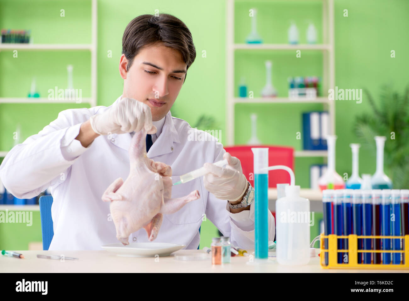 Lab assistant testing GMO chicken Stock Photo - Alamy