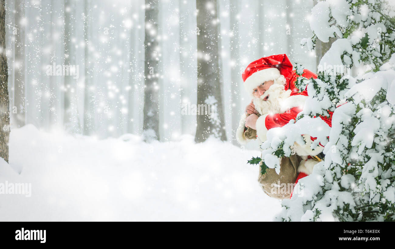 Hurried Santa Claus is running fast through the woods Stock Photo - Alamy