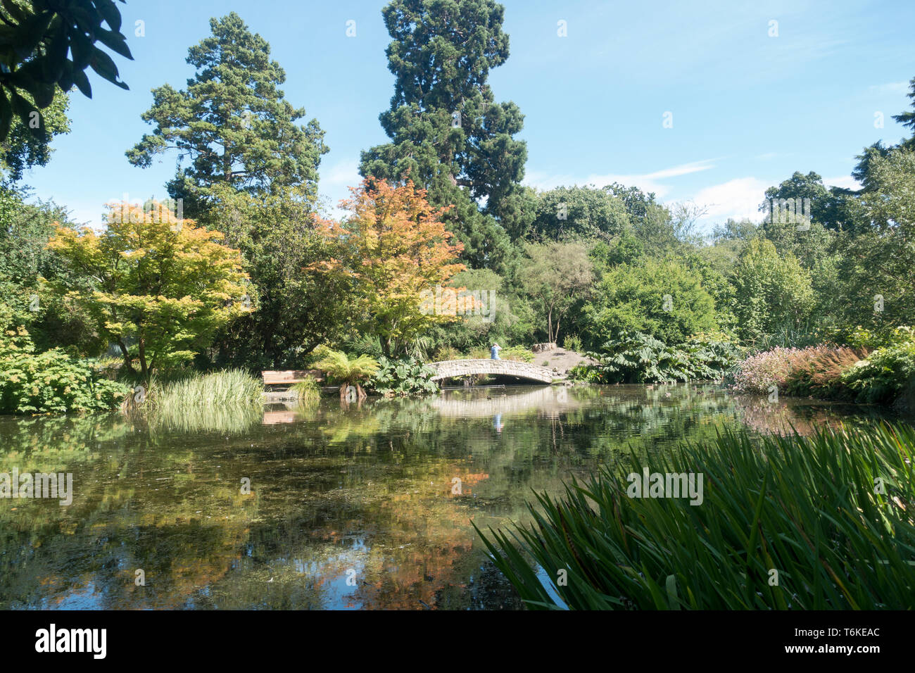 Christchurch Botanical Gardens are in the centre of the town and ...