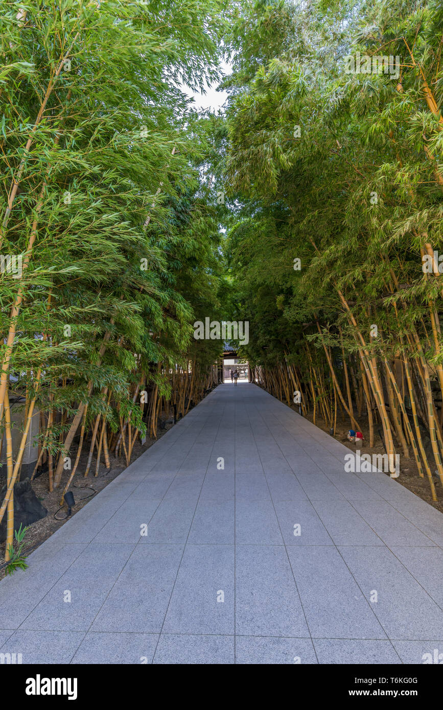 Tokyo - August 17, 2018 - Urban bamboo path entrance to at Aoyama ... Tokyo - August 17, 2018 - Urban bamboo path entrance to at Aoyama ...