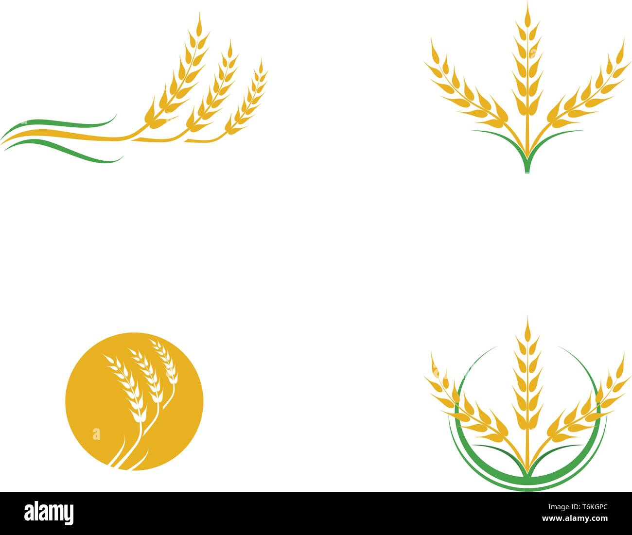 Agriculture wheat vector icon design Stock Vector Image & Art - Alamy