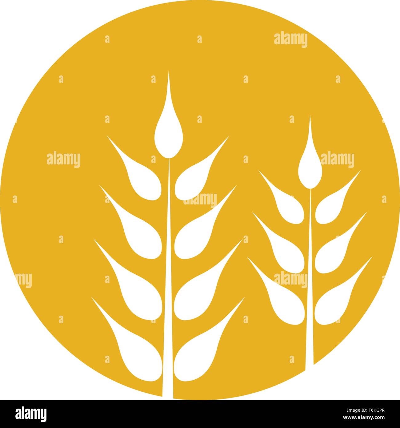 Agriculture wheat vector icon design Stock Vector Image & Art - Alamy
