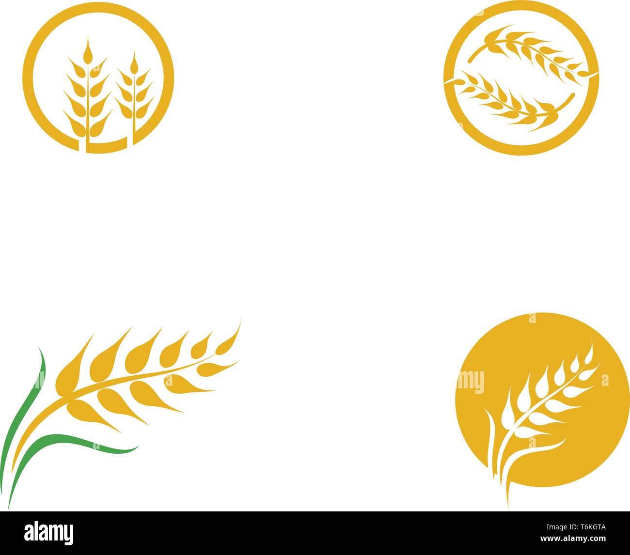 Agriculture wheat vector icon design Stock Vector Image & Art - Alamy