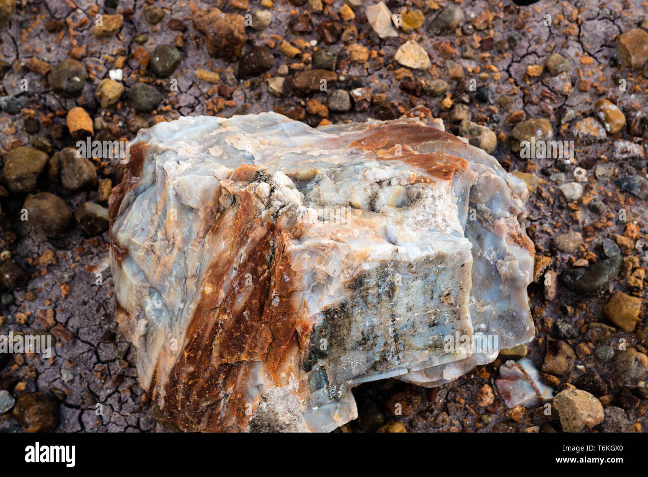 Quartz Crystal in Petrified Forest National Park, Arizona Stock Photo ...