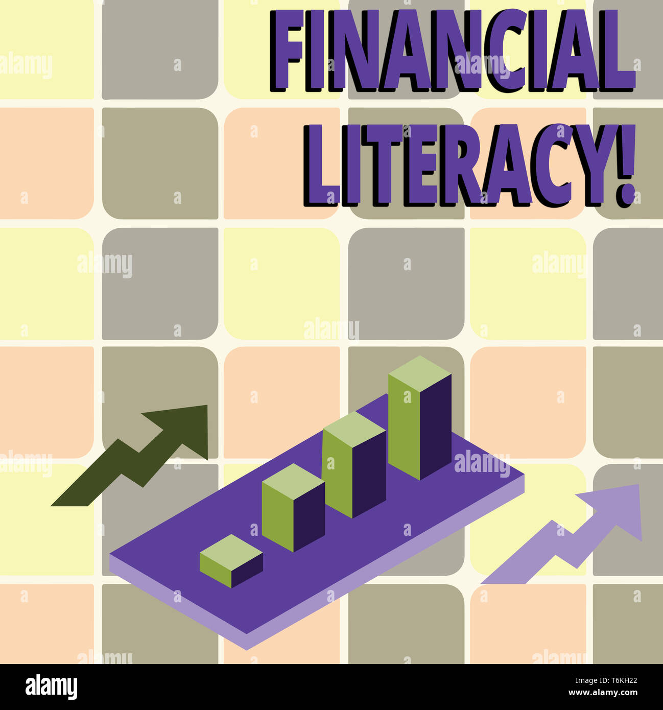 Conceptual hand writing showing Financial Literacy. Concept meaning ...