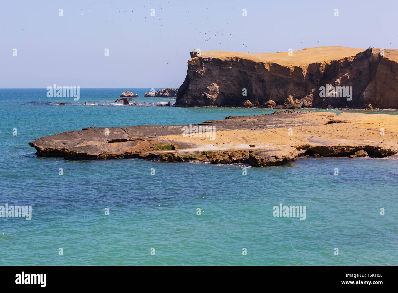 Paracas shoreline hi-res stock photography and images - Alamy