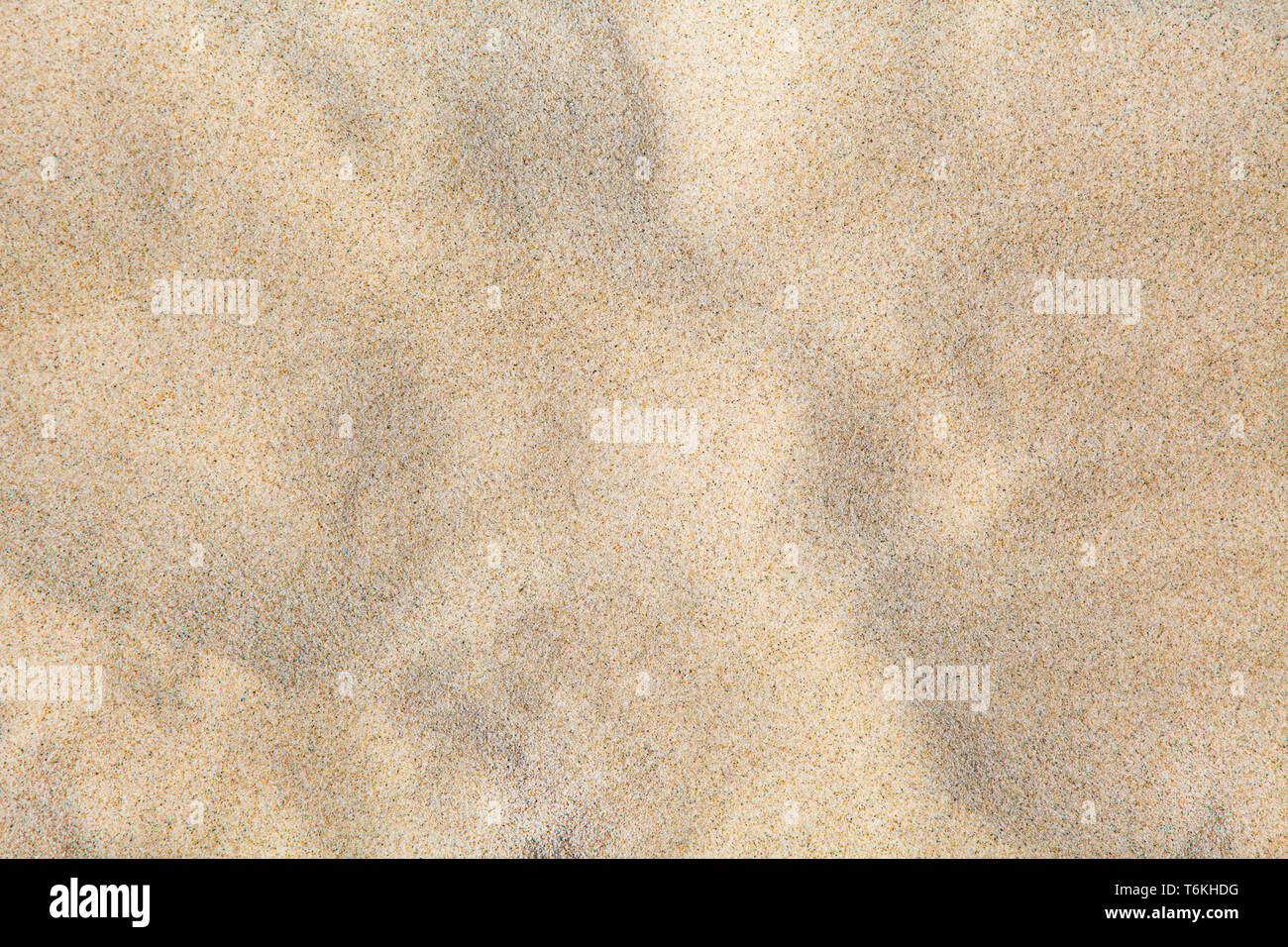 Beautiful beach tropical palm hi-res stock photography and images - Alamy