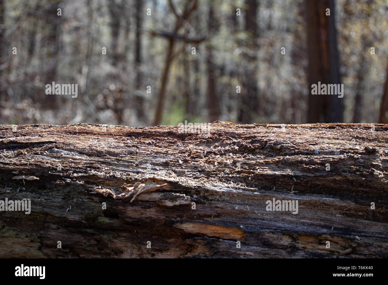Natural decay hi-res stock photography and images - Alamy
