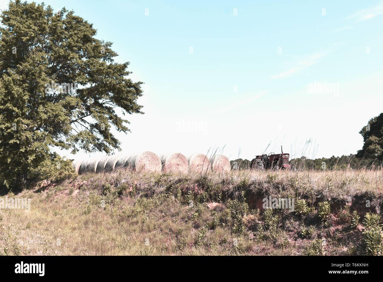 Old Southern hay farm Stock Photo - Alamy