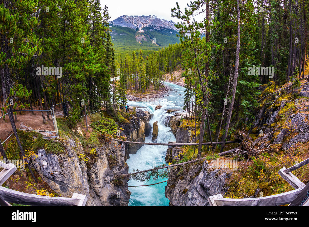 Small island in the river Stock Photo - Alamy