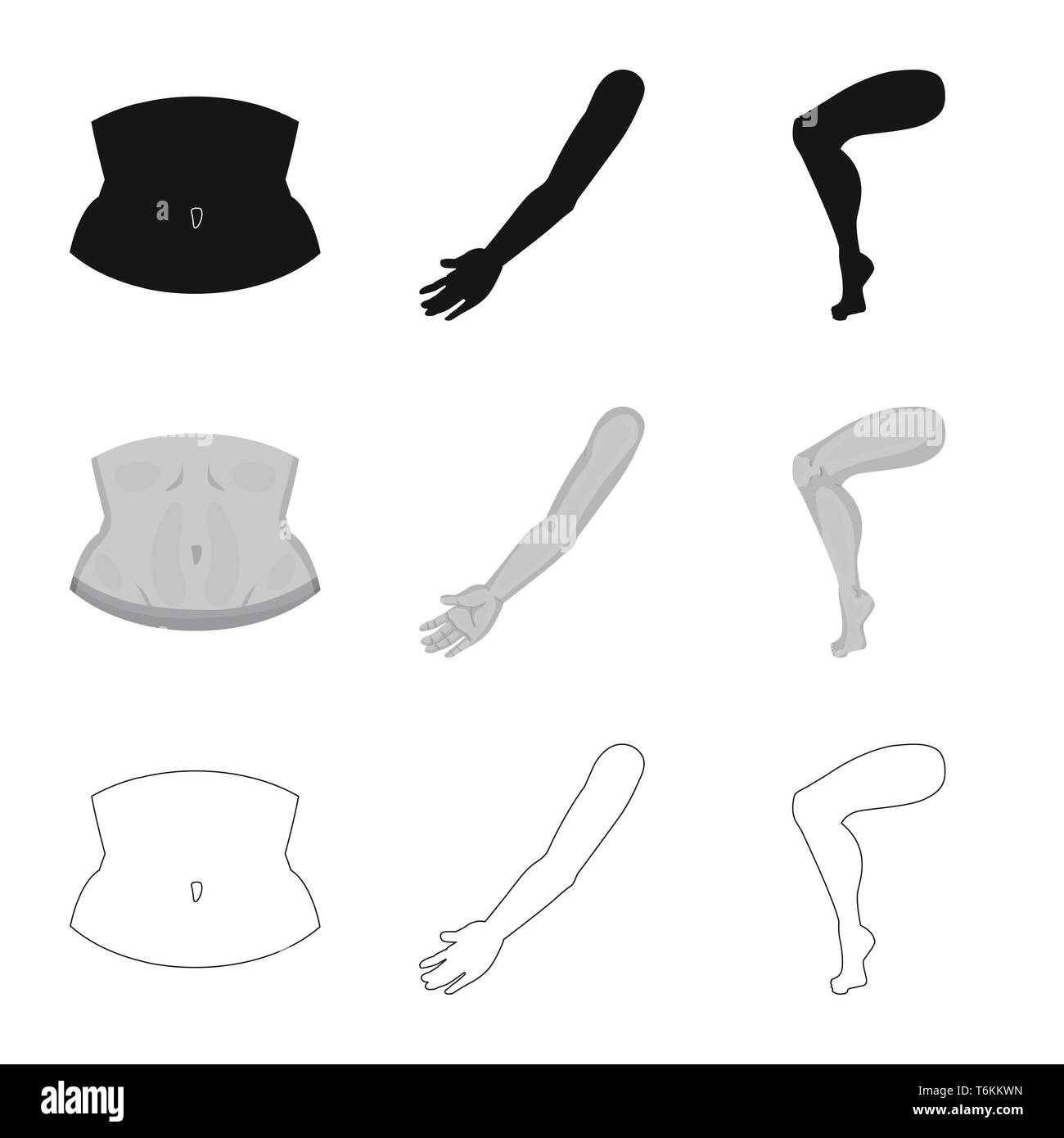 Vector illustration of body and part sign. Set of body and anatomy ...