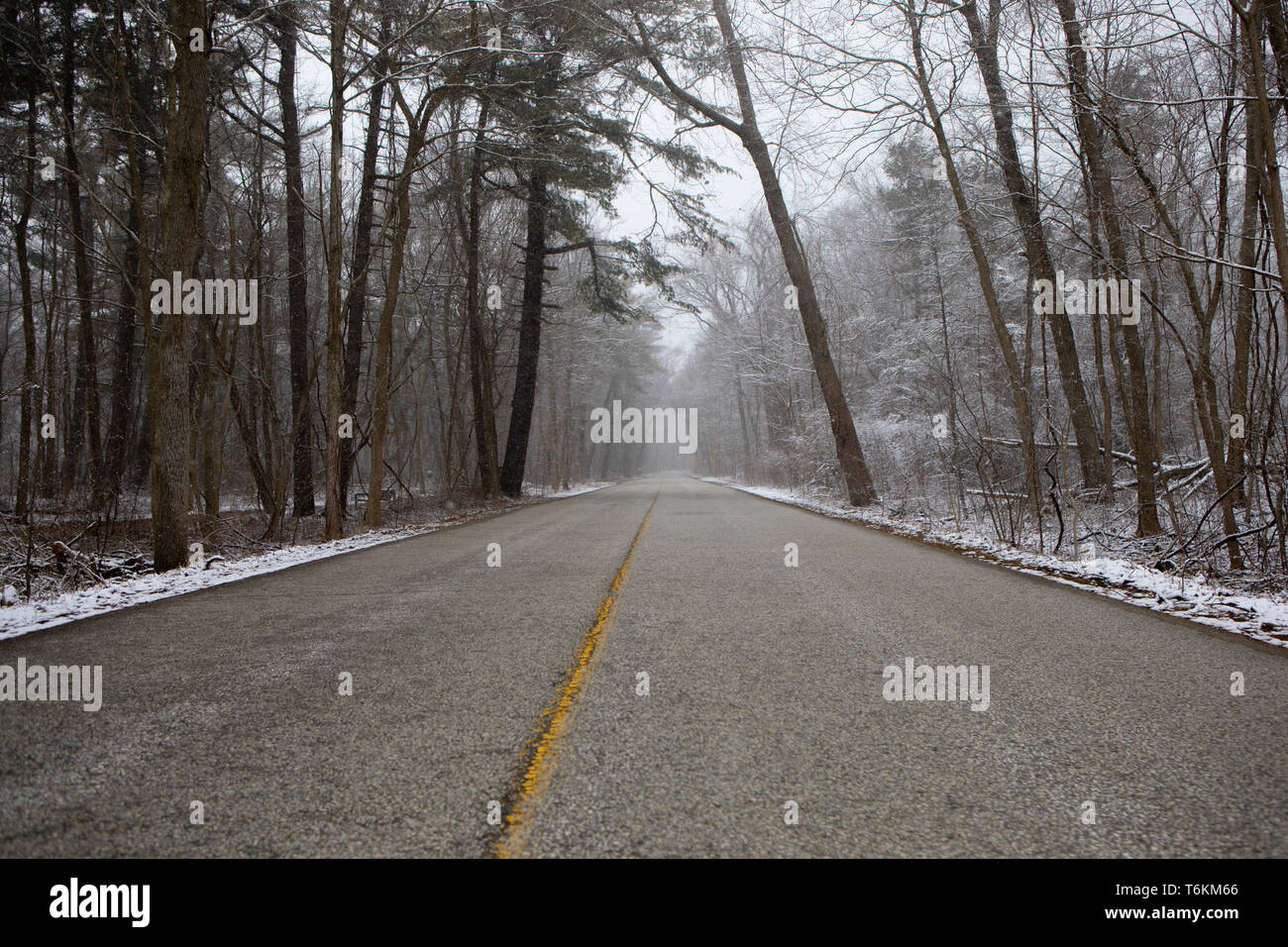 Background Concept Future Lies Ahead Path Yellow Line Road Nowhere ...