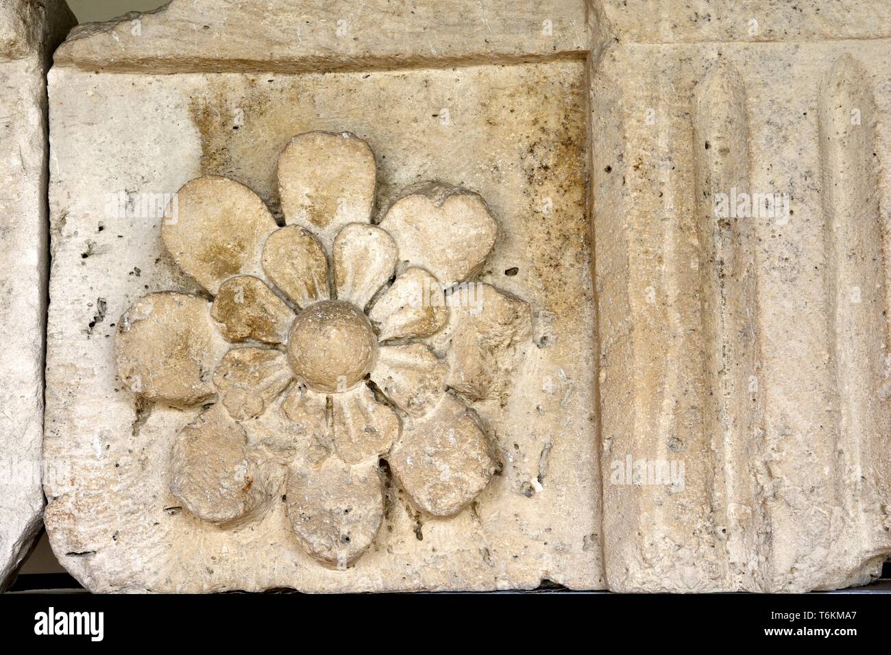 Stone carved flower at the ancient ruins of Apollonia Albania Stock ...