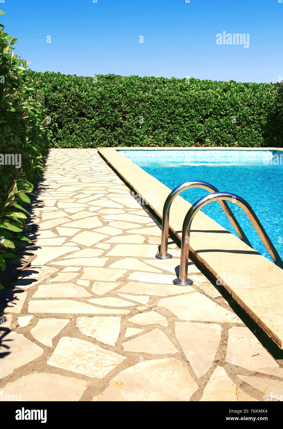 At the edge of a swimming pool surrounded by a laurel hedge Stock Photo ...