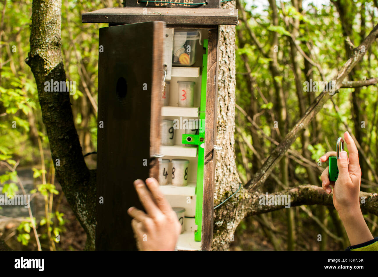 boy finds Geocache to puzzle over a cupboard with cans and numbers to ...