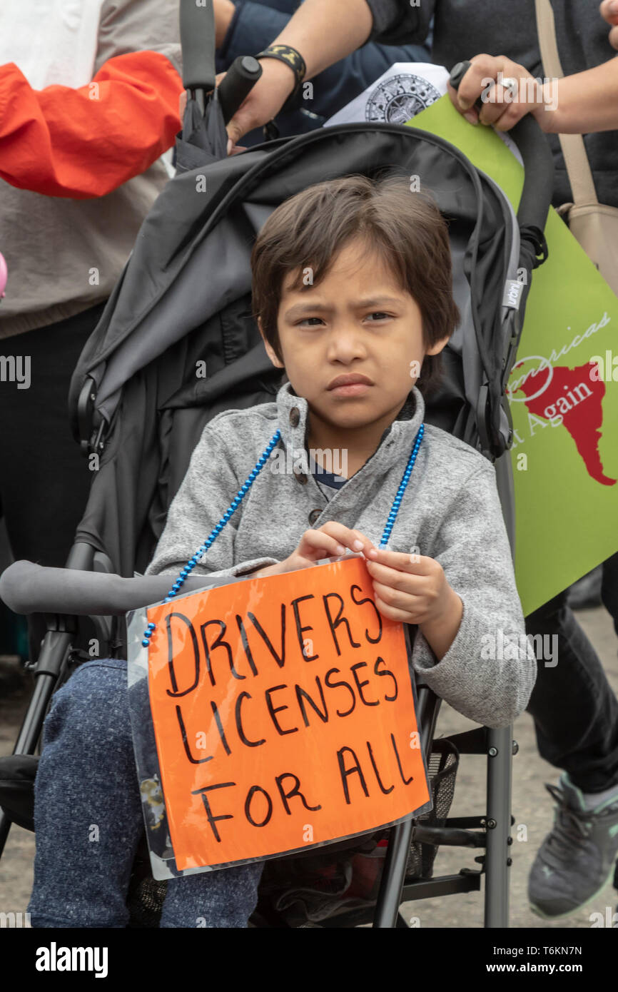 Drivers license vertical hi-res stock photography and images - Alamy