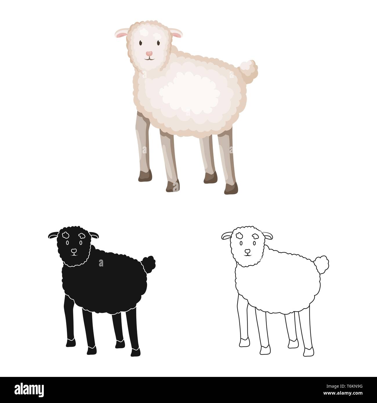 wool,meat,fluffy,happy,cattle,mutton,farm,food,homemade,countryside ...