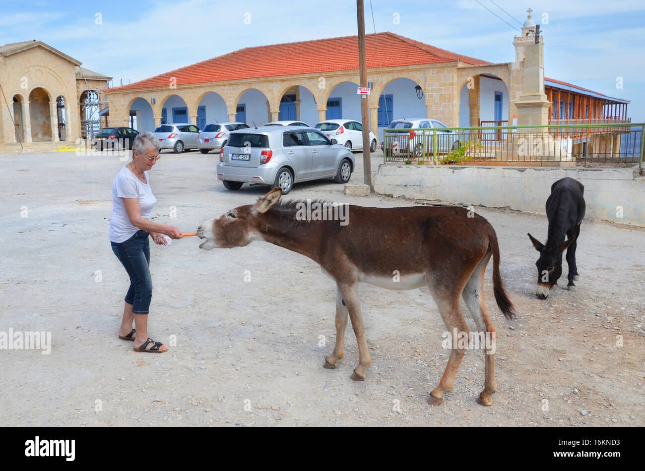 Dipkarpaz, Karpas Peninsula, Northern Cyprus - Oct 3rd 2018: Older ...