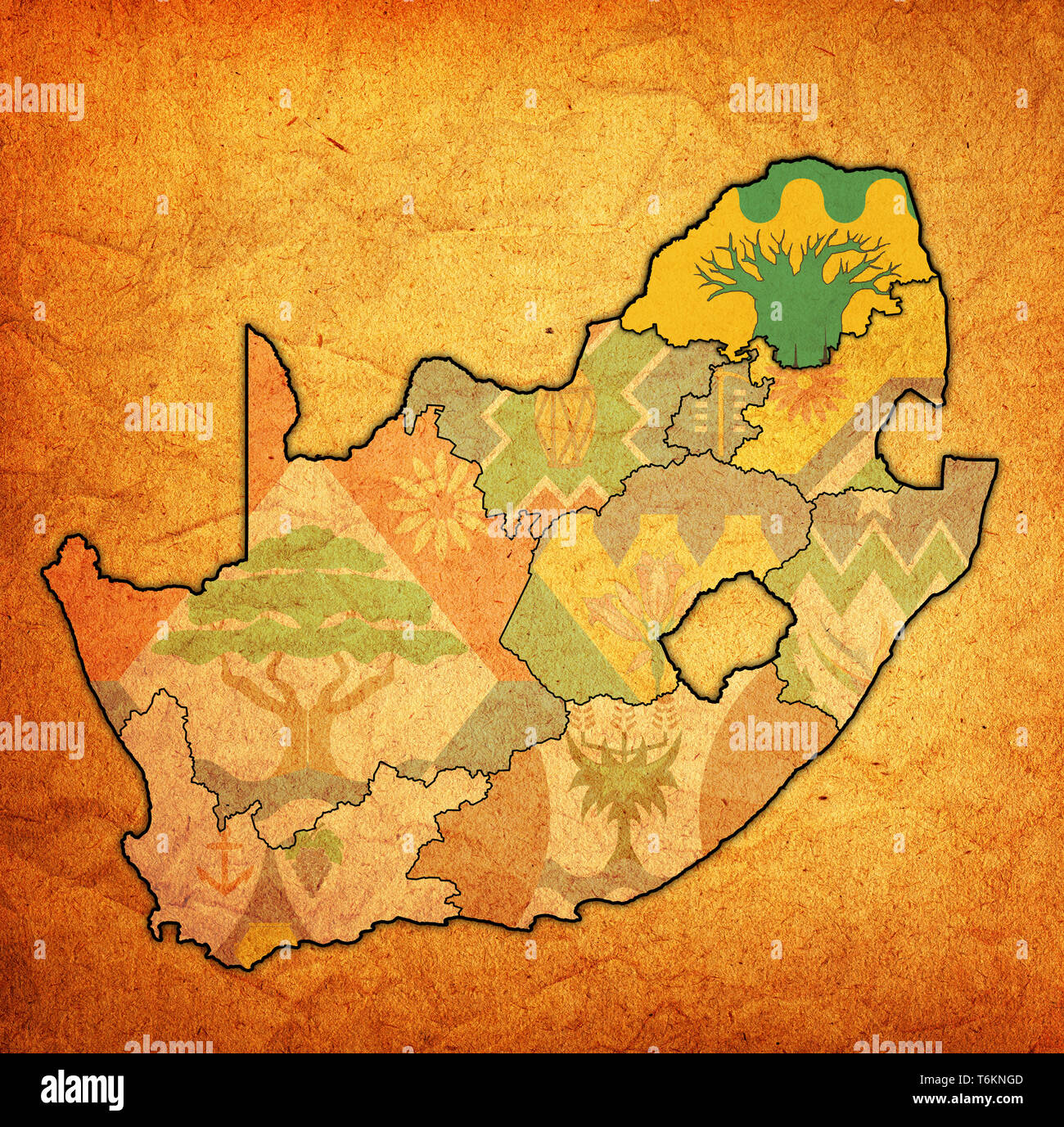 emblem of Limpopo region on map with administrative divisions and ...