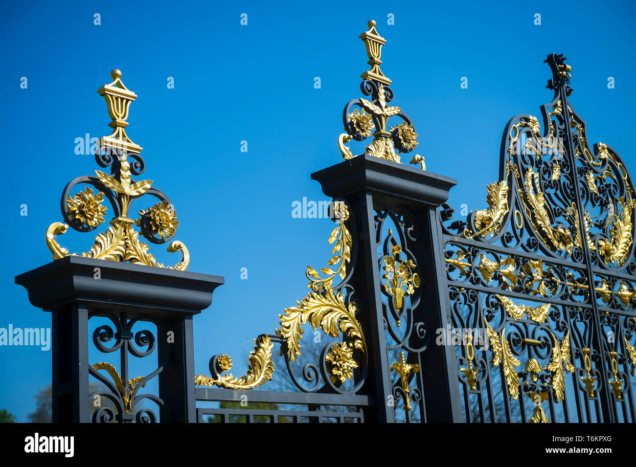 Ornate wrought iron palace gate with royal gold trimming with bright ...