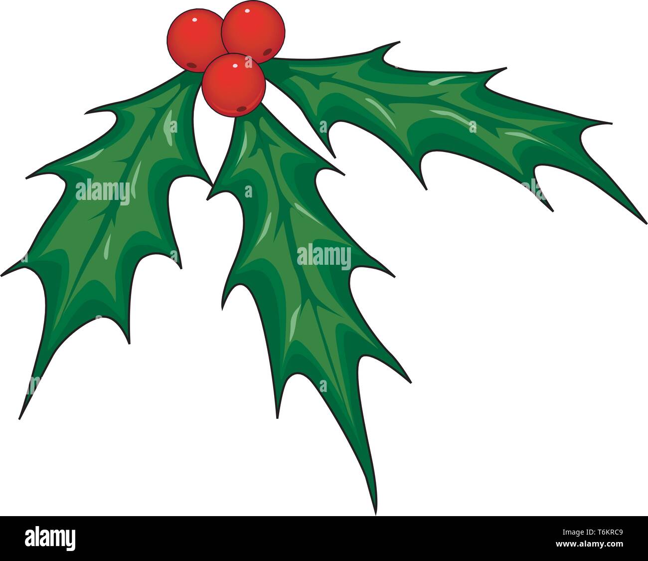 Holly Vector Illustration Stock Vector Image & Art - Alamy