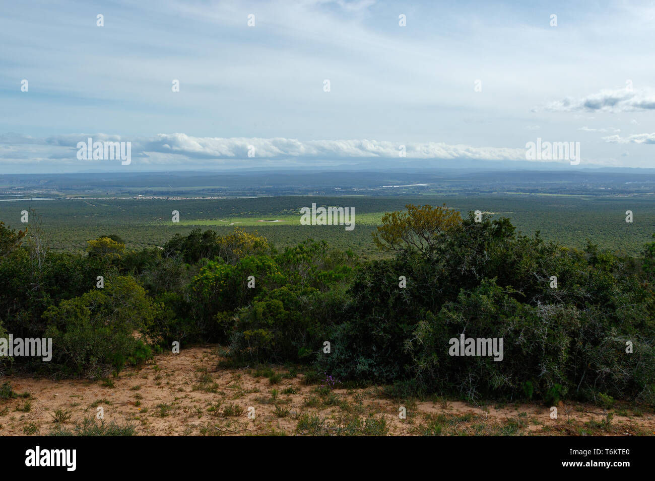 Point elizabeth lookout hi-res stock photography and images - Alamy