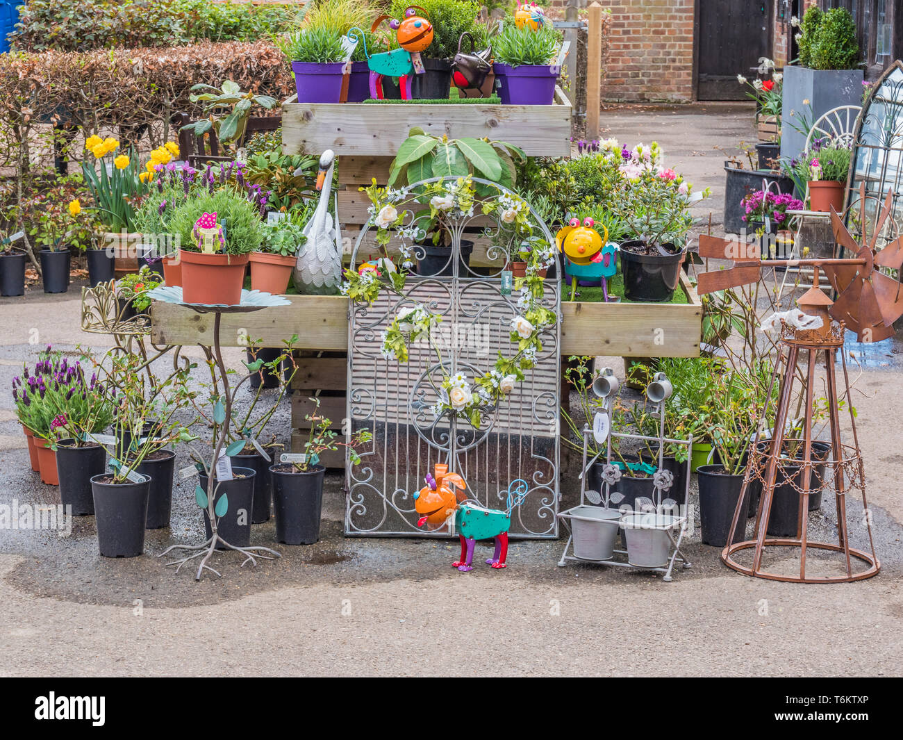 Colourful displays at Hever Castle at the Italian gardens in Kent near ...