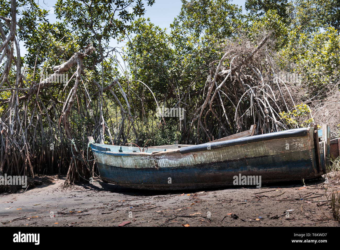 traditional boat on the banks of the river - Angola Stock Photo - Alamy