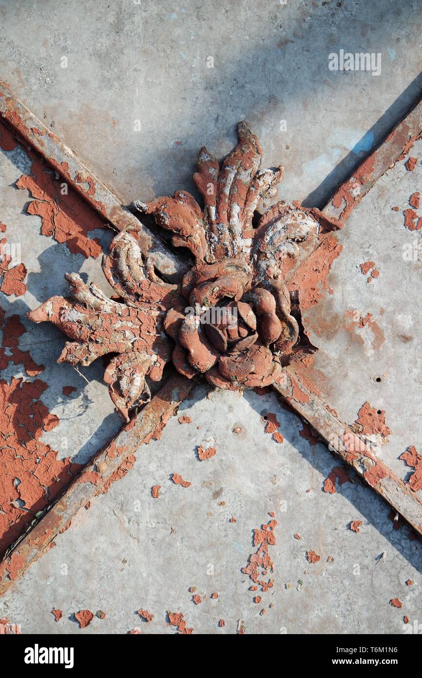 Rose rust hi-res stock photography and images - Alamy