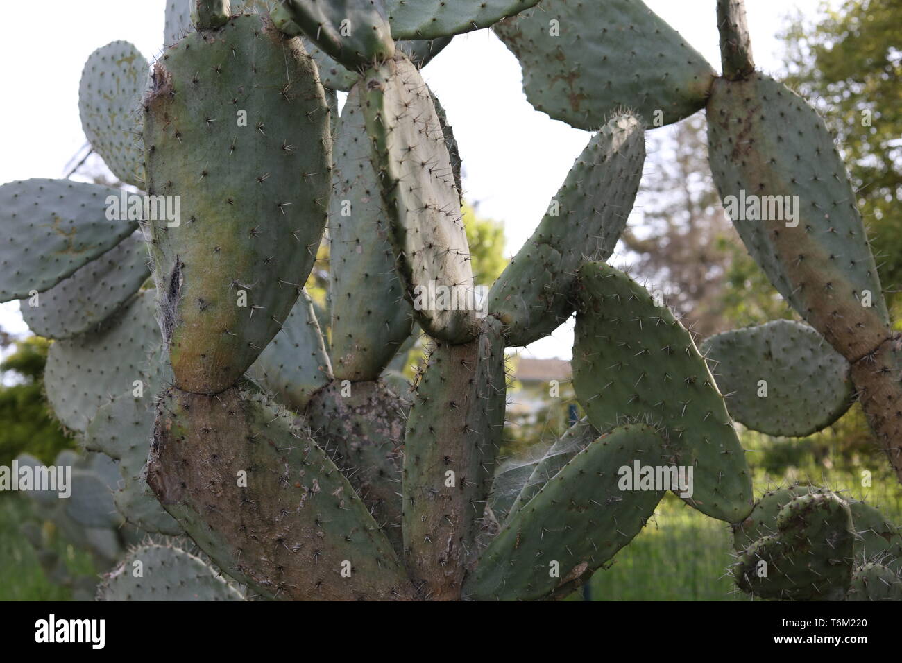 Wellness environment hi-res stock photography and images - Alamy