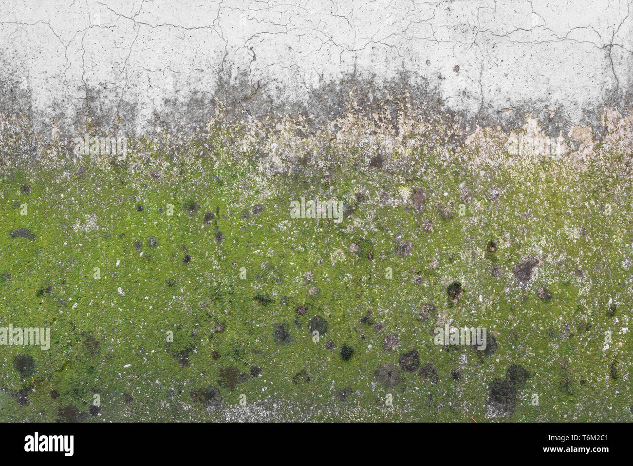 Moldy Building High Resolution Stock Photography and Images - Alamy