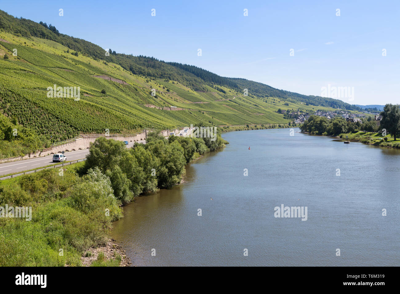 Vineyards along German river Moselle Stock Photo - Alamy