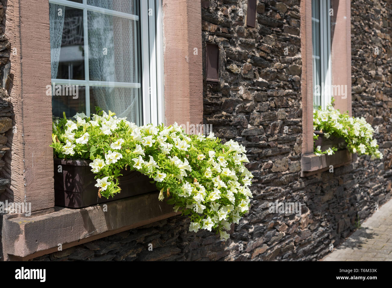 Ancient house with window-sills and flower pots Stock Photo - Alamy