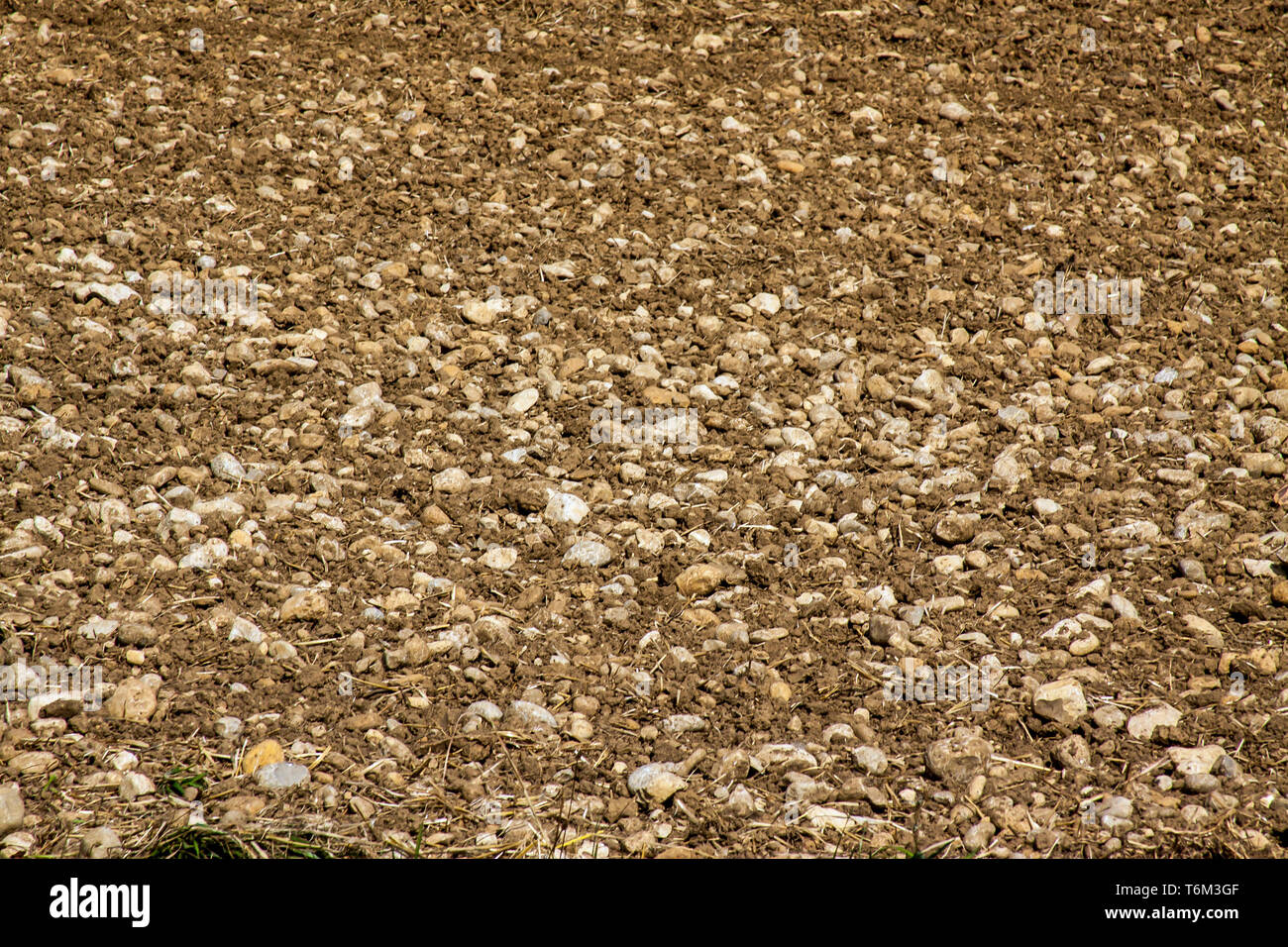Field with stones Stock Photo - Alamy
