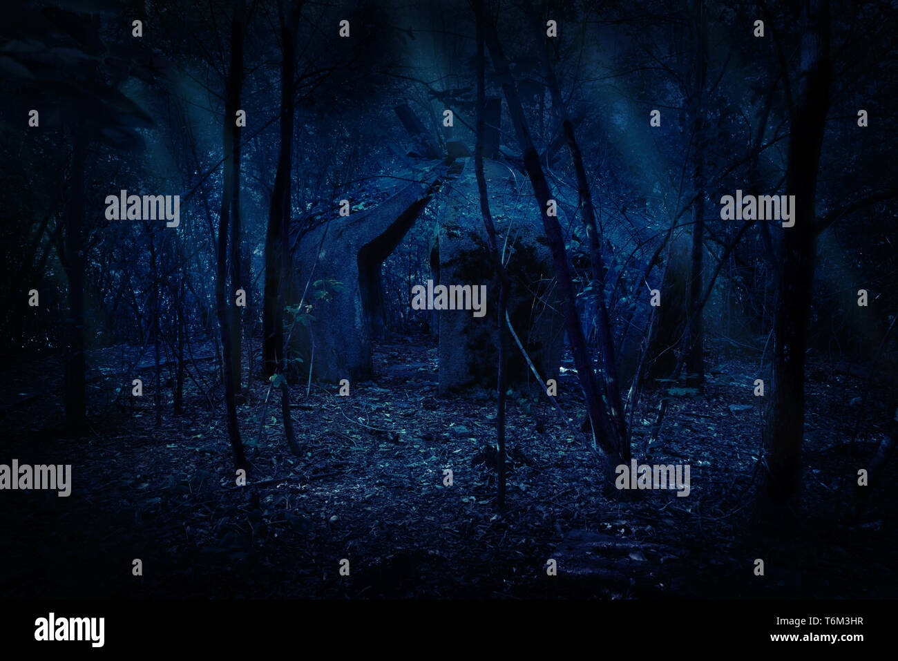 Ruins in the night forest Stock Photo - Alamy