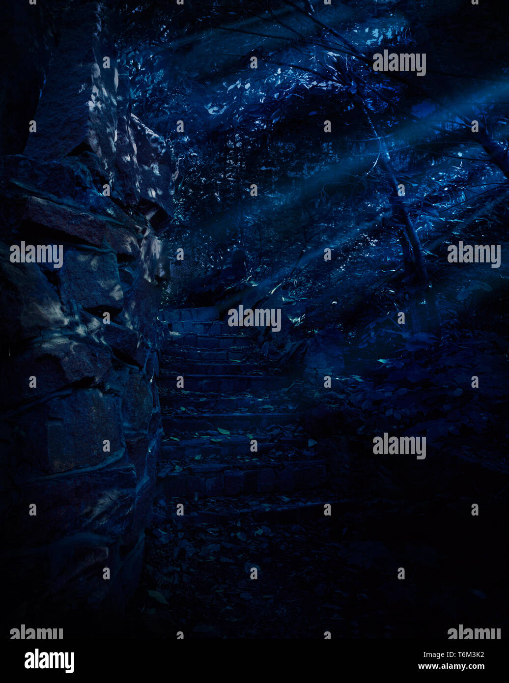 Ruins in the night forest Stock Photo - Alamy