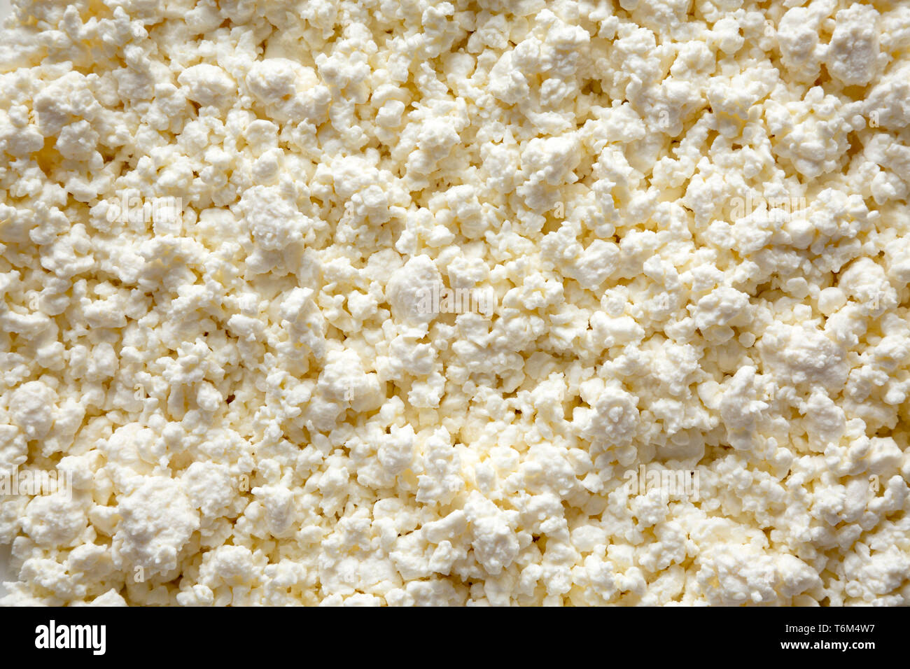 Homemade cottage cheese, top view. Close-up Stock Photo - Alamy