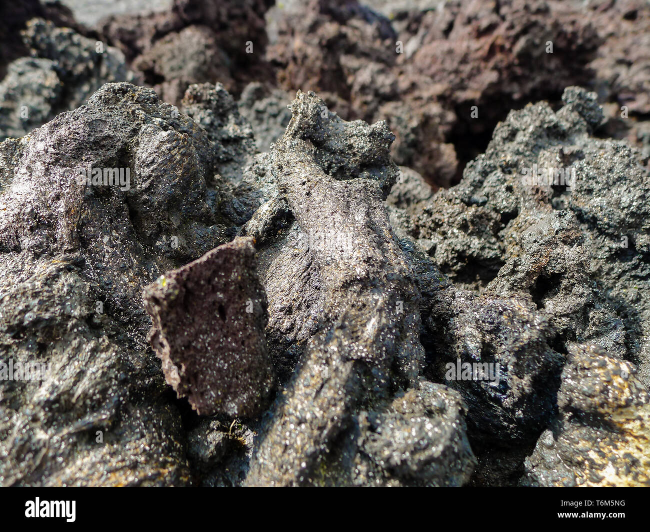 Porous lava rock hi-res stock photography and images - Alamy