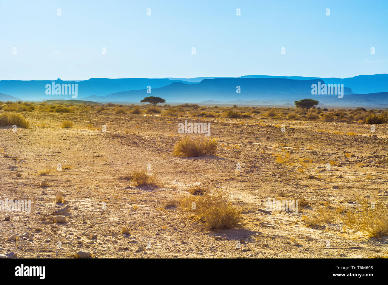 Landscape in the Southern Israel Stock Photo - Alamy