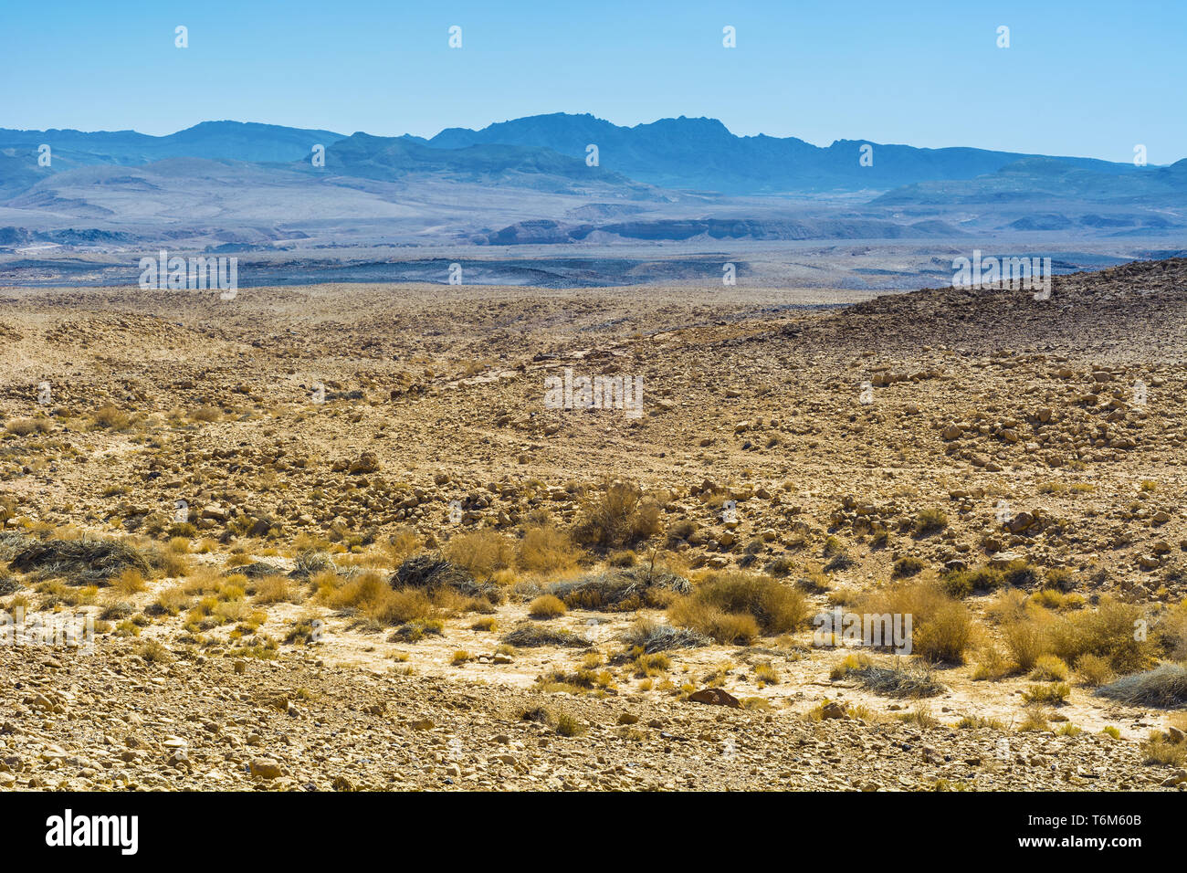 In the southern negev desert hi-res stock photography and images - Alamy