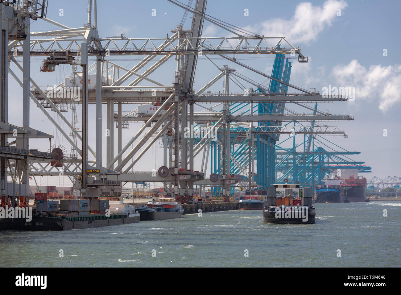 Container terminal with big cranes in Dutch harbor Rotterdam Stock ...