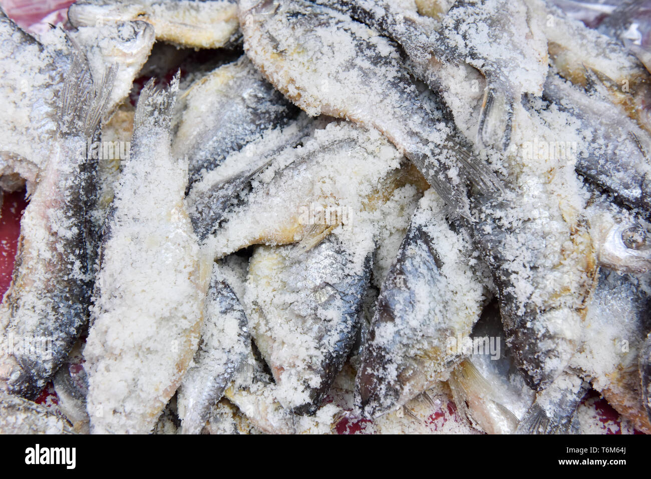 Dried salted fish on display hi-res stock photography and images - Alamy