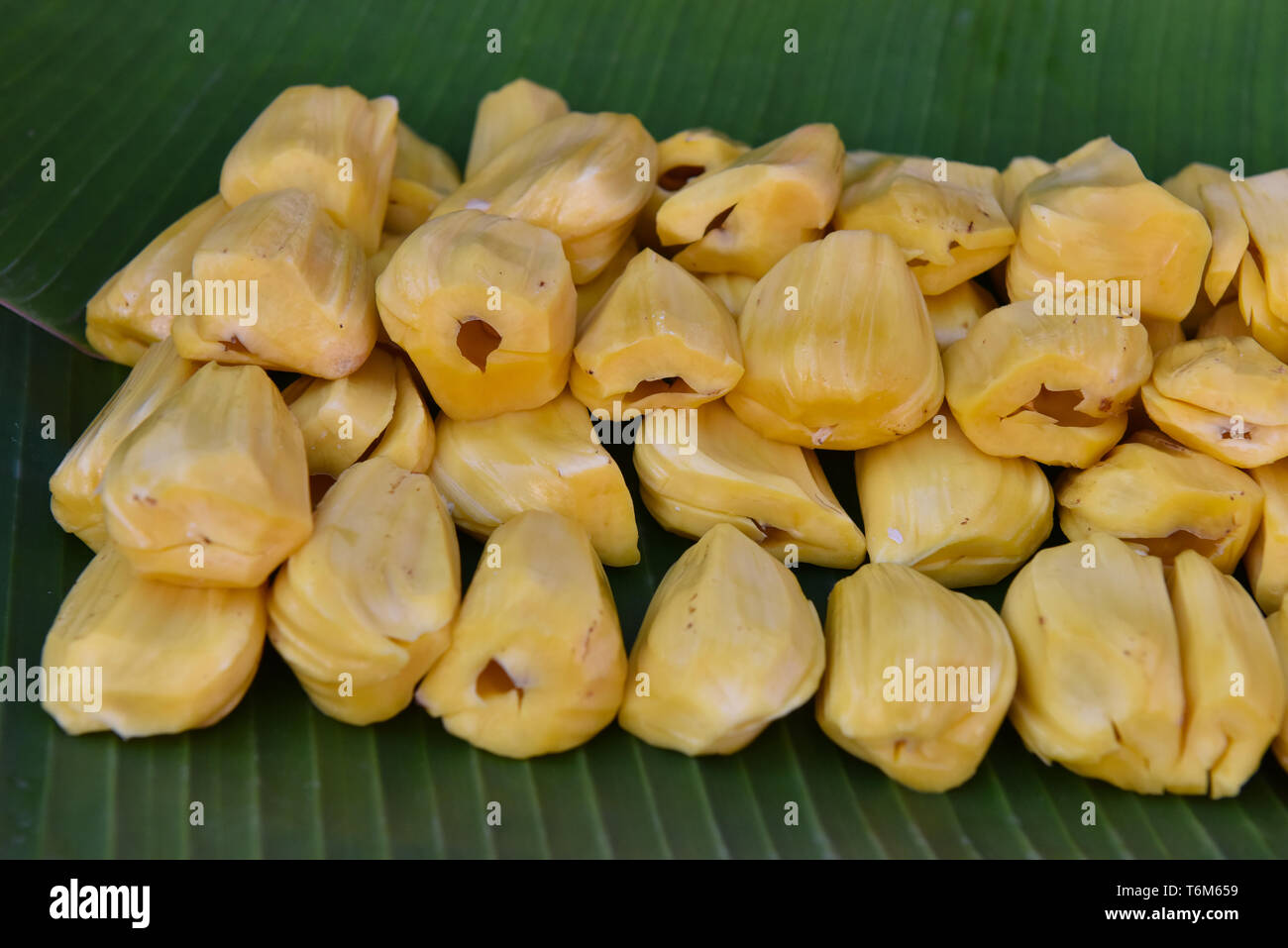 Jackfruit thailand hi-res stock photography and images - Alamy