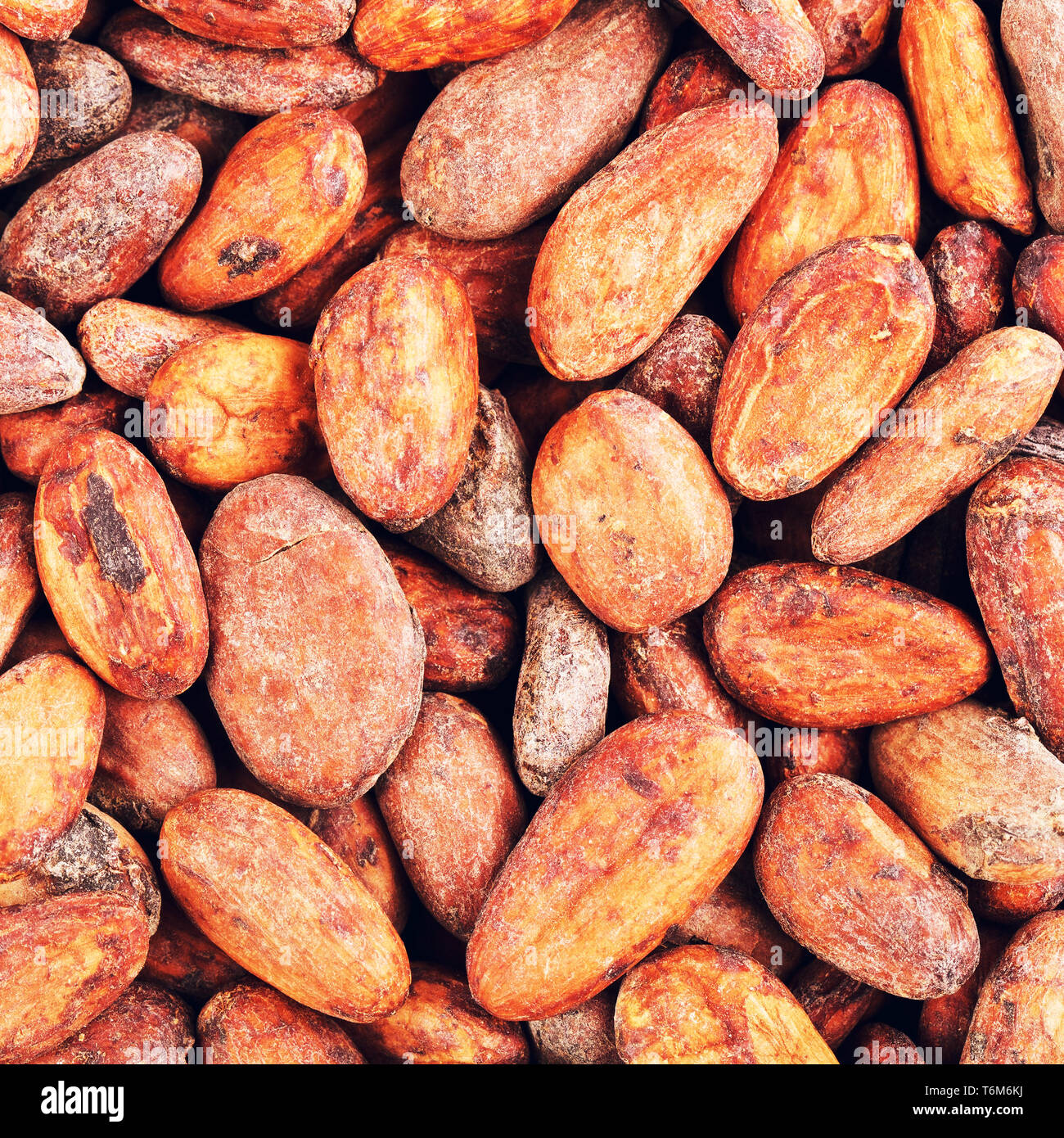 Raw Cacao Beans Background Stock Photo - Alamy