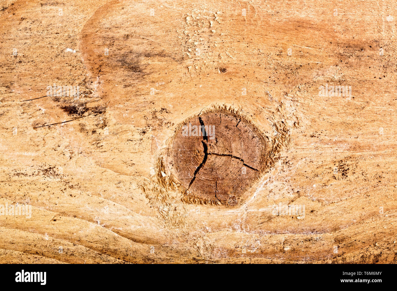 Pinewood Texture Closeup Stock Photo - Alamy