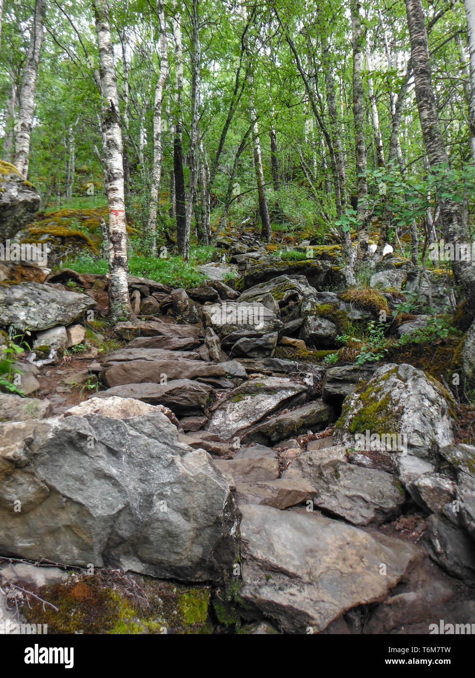 Hike starts from town called Odda. Trolltunga hike, Lake ...