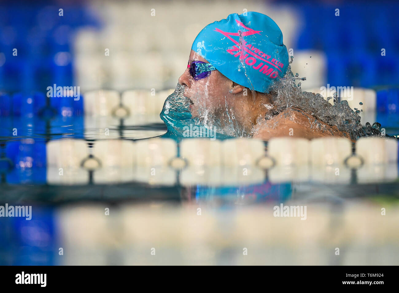 Spring Trophy High Resolution Stock Photography and Images - Alamy