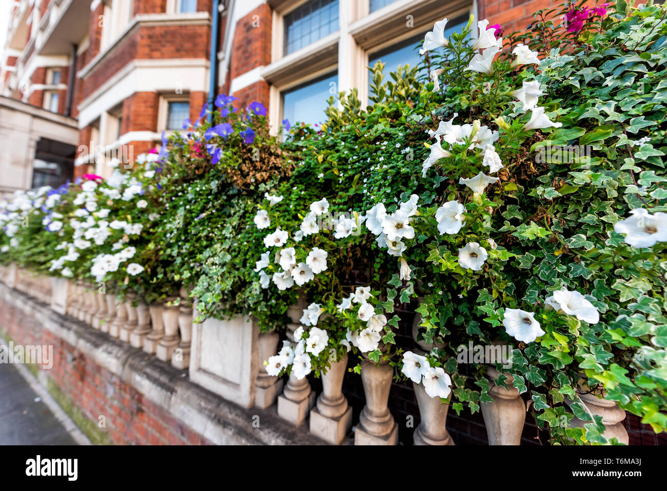 Planter flowers street england hi-res stock photography and images - Alamy